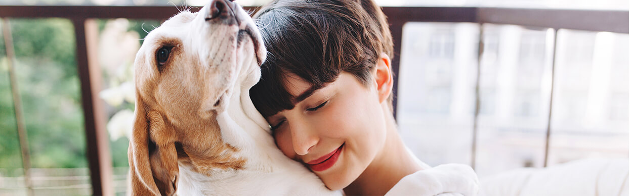 Cómo saber cuál es el perrito ideal para ti - TQPETS